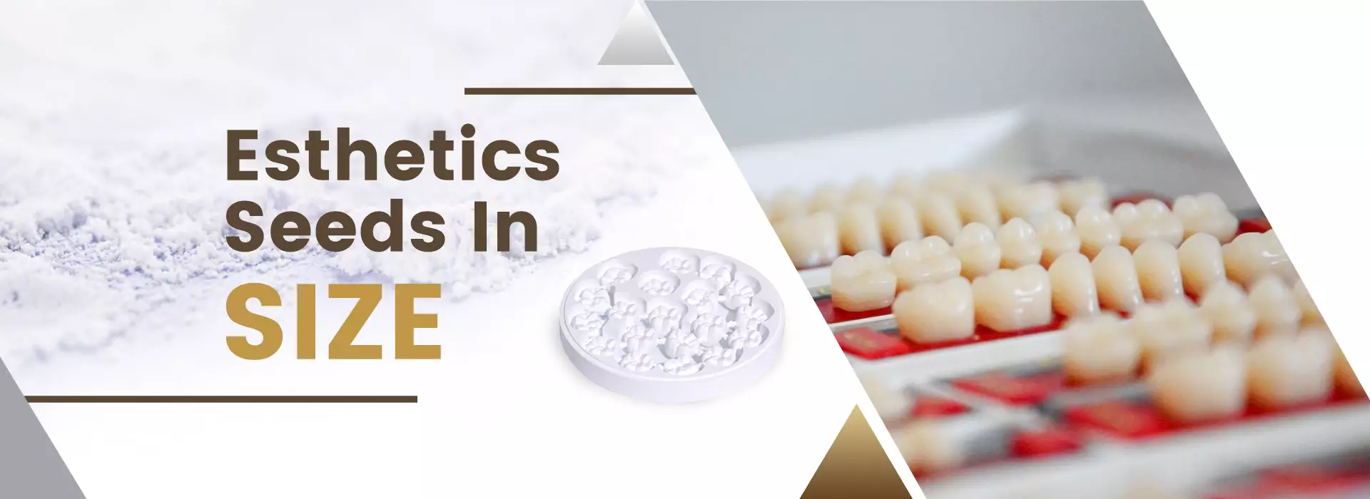 De Corematrix: Transforming Dental Restorations with Extraordinary ...